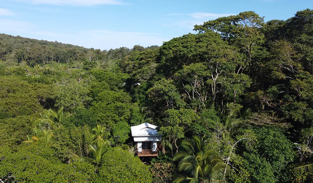 Tree House - Eclypse de Mar - Panama